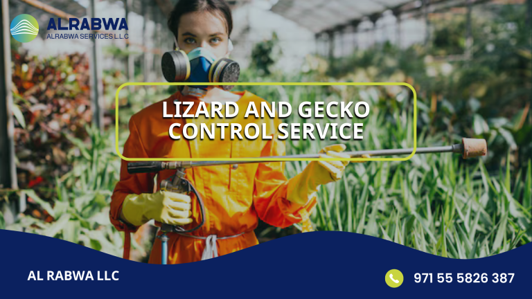Expert Lizard and Gecko Control Service to Keep Home Safe