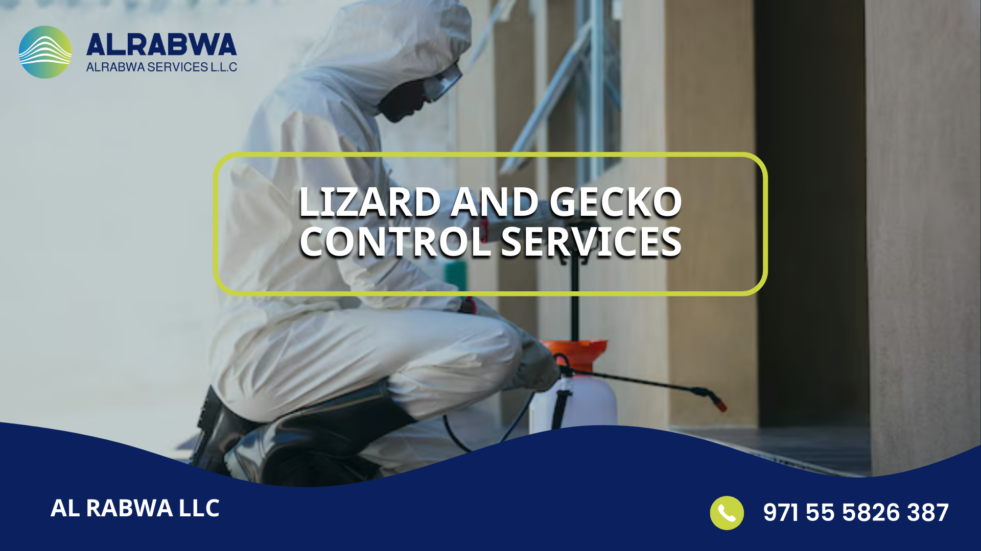 Top Lizard and Gecko Control Services for Your Home