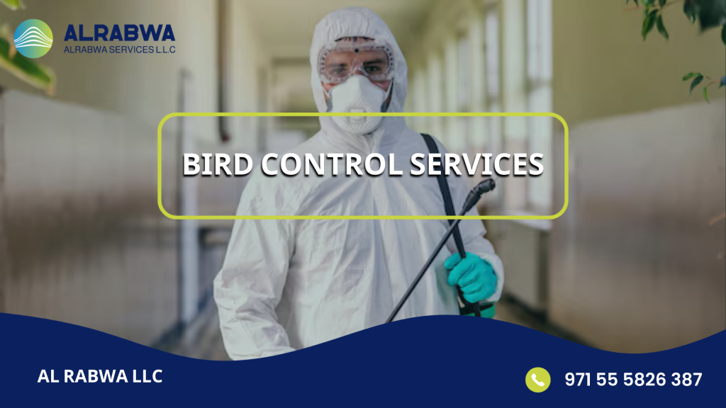 Local Bird Control Services: Get Rid of Pests Near You