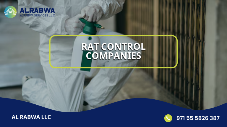 Top Rat Control Companies for a Rodent-Free Home or Business