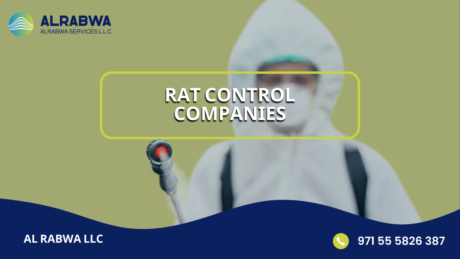 Top Rat Control Companies for a Rodent-Free Home or Business