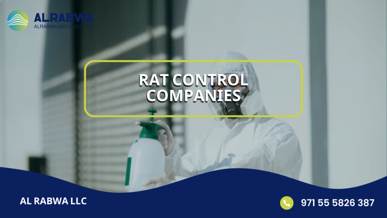 Top Rat Control Companies for a Rodent-Free Home or Business
