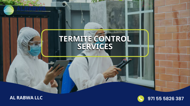 Professional Termite Control Services for a Safe Home