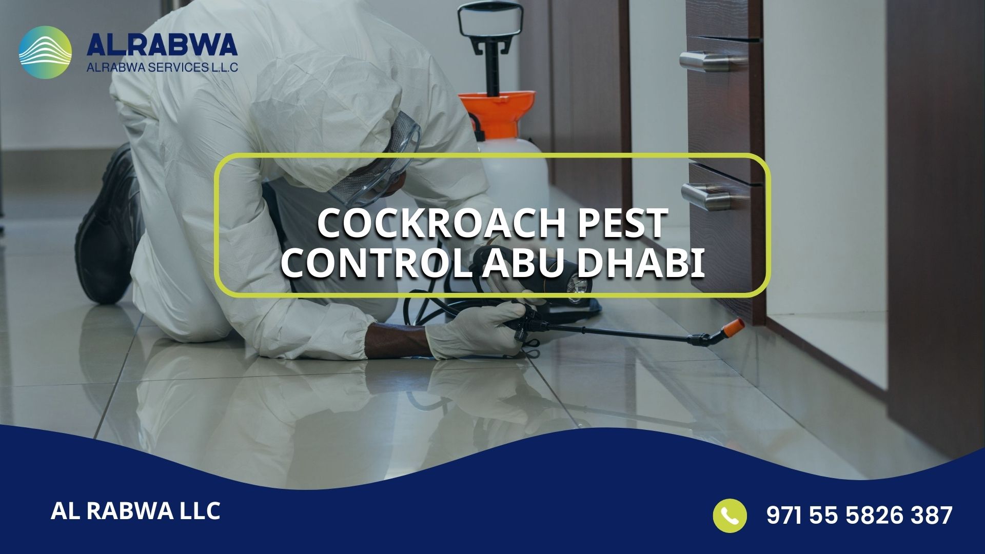 cockroach pest control in abu dhabi | Rabwa Pest Solutions