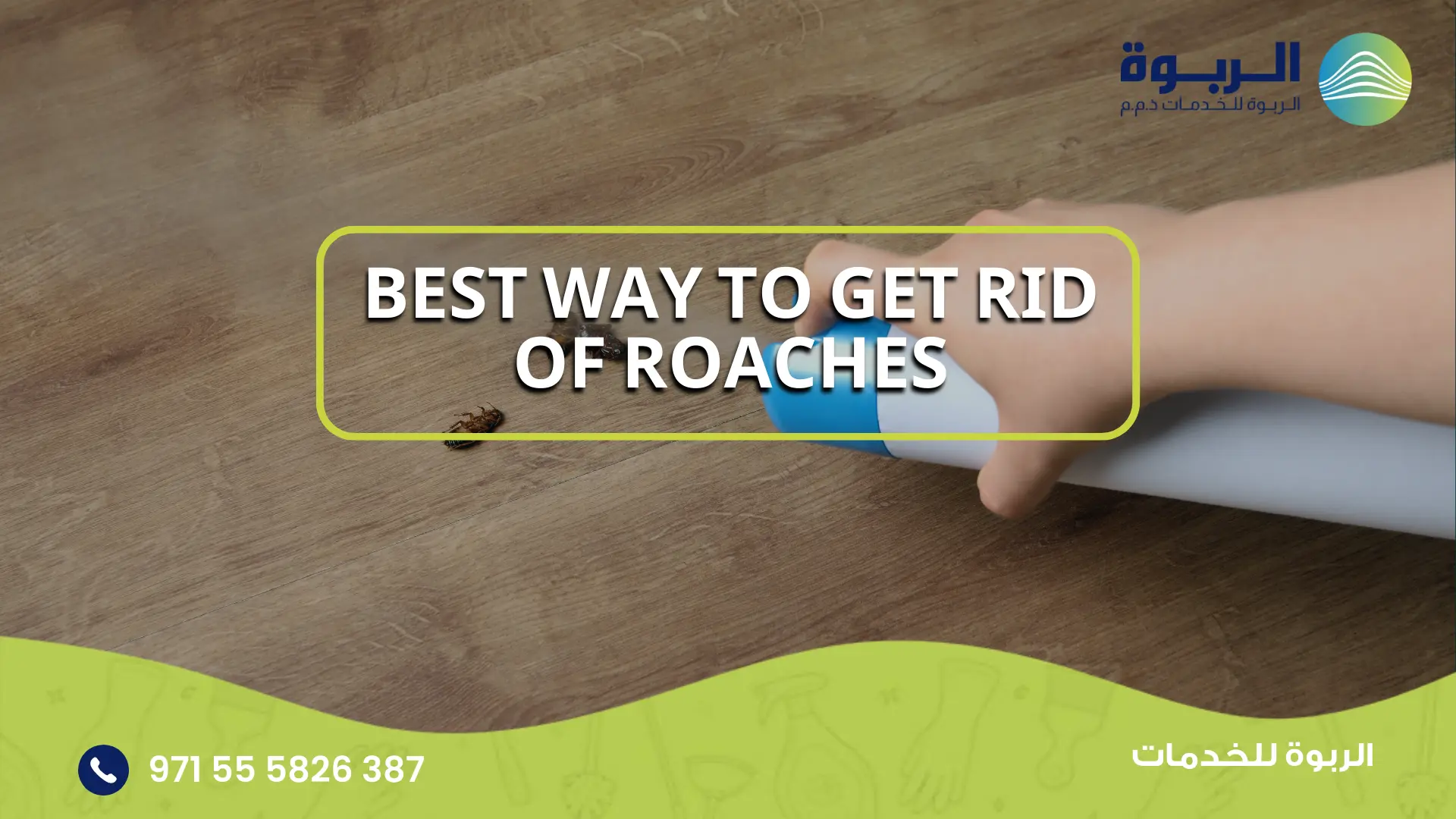 best way to get rid of roaches Safely and Effectively